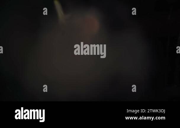 Rose in liquid nitrogen Stock Videos & Footage - HD and 4K Video Clips ...