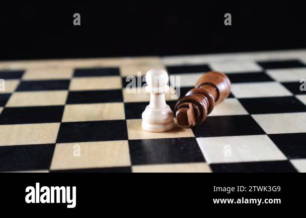 Two chess pawn and king with the vanquished black chess piece lying on ...