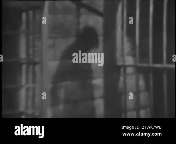 Prison shadow wall Stock Videos & Footage - HD and 4K Video Clips - Alamy