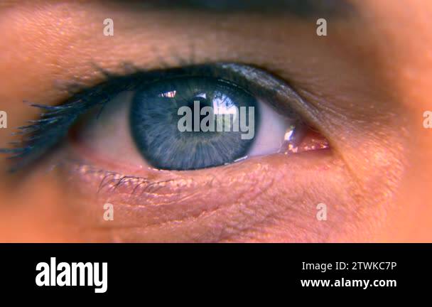 Close-up. Macro Blue Female Human Eye. Pupil Cornea Iris Eyeball ...