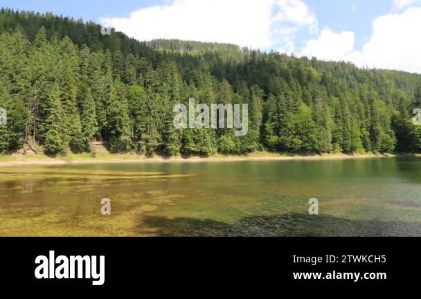 Carpatho ukraine Stock Videos & Footage - HD and 4K Video Clips - Alamy