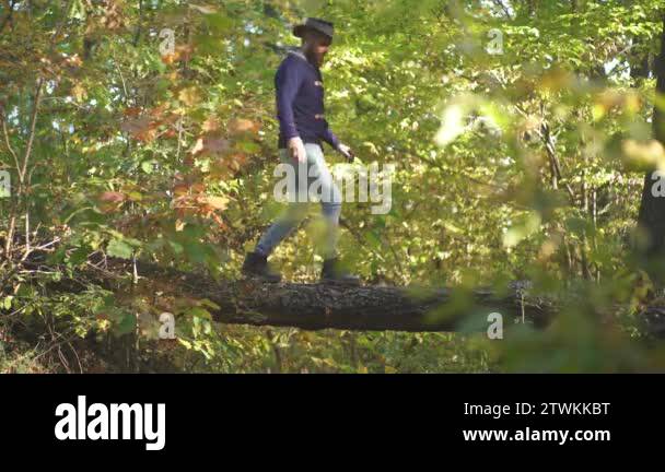 Tree climber in climbing Stock Videos & Footage - HD and 4K Video Clips ...