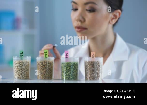 Grain inspection Stock Videos & Footage - HD and 4K Video Clips - Alamy