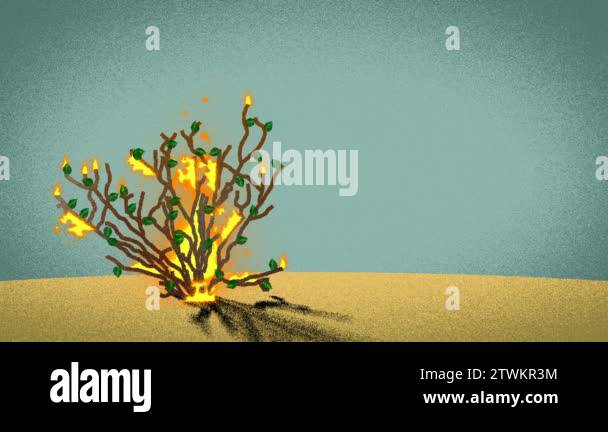 Fire bush desert Stock Videos & Footage - HD and 4K Video Clips - Alamy
