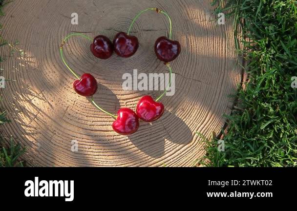 Nobody tree Stock Videos & Footage - HD and 4K Video Clips - Alamy