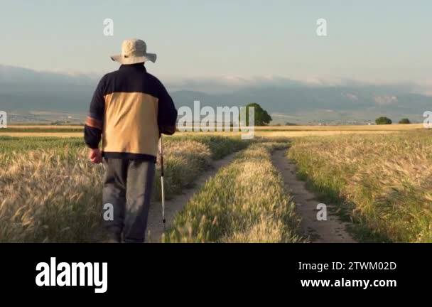 Spanish pilgrim route Stock Videos & Footage - HD and 4K Video Clips ...