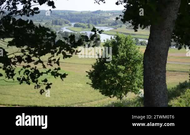 Tree mound Stock Videos & Footage - HD and 4K Video Clips - Alamy