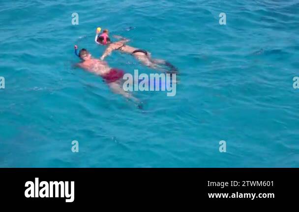 Snorkeling in the Red sea. People's activity Stock Video Footage - Alamy