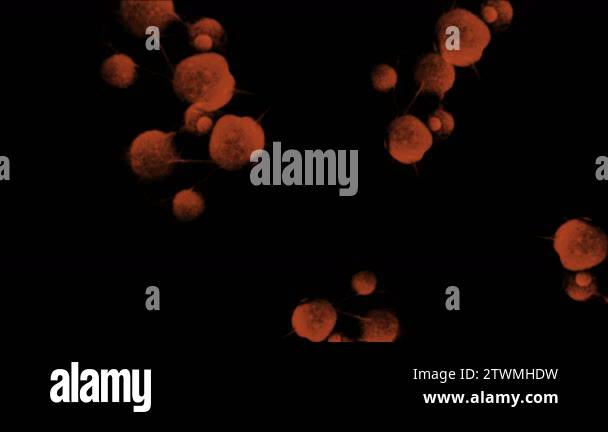 4k Abstract cells virus microscope background,herpes bacteria bubble ...