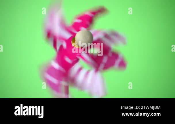 Pinwheel toy rotating on a stick on a green screen background Stock ...