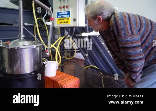 Production of perfume essences by steam distillation in distillation ...