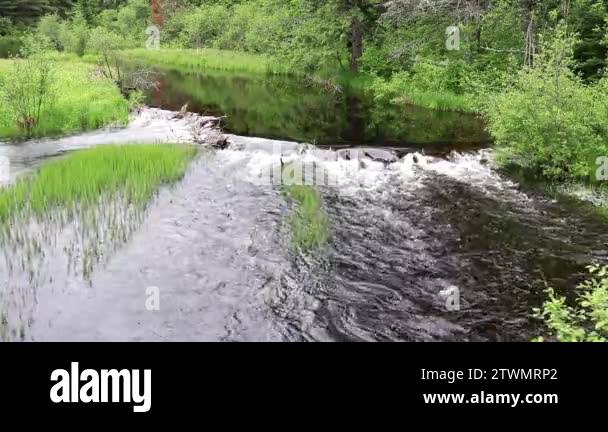 Beaver dam creek Stock Videos & Footage - HD and 4K Video Clips - Alamy