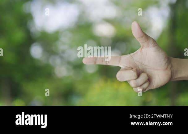 Padlock tree Stock Videos & Footage - HD and 4K Video Clips - Alamy