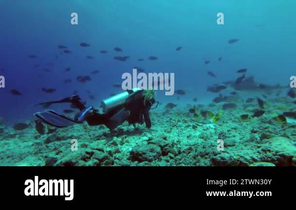 INDIAN OCEAN, MALDIVES, ASIA - MARCH 2018: Female scuba diver looks at ...