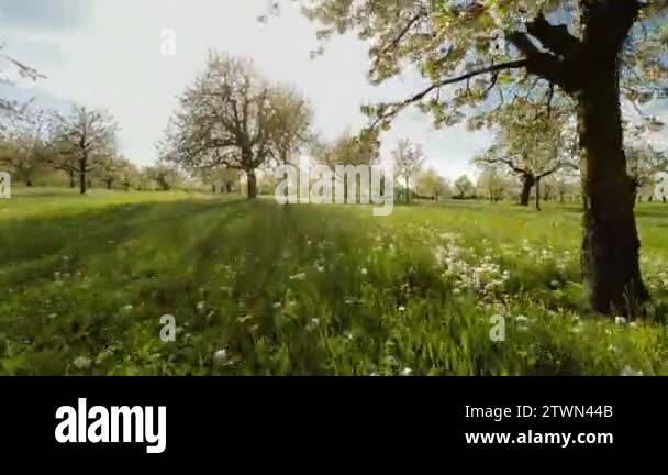 Flora fauna habitat Stock Videos & Footage - HD and 4K Video Clips - Alamy