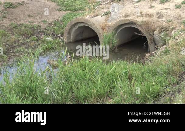 Small rivers of Ukraine, regulation of river flow. The river flows ...