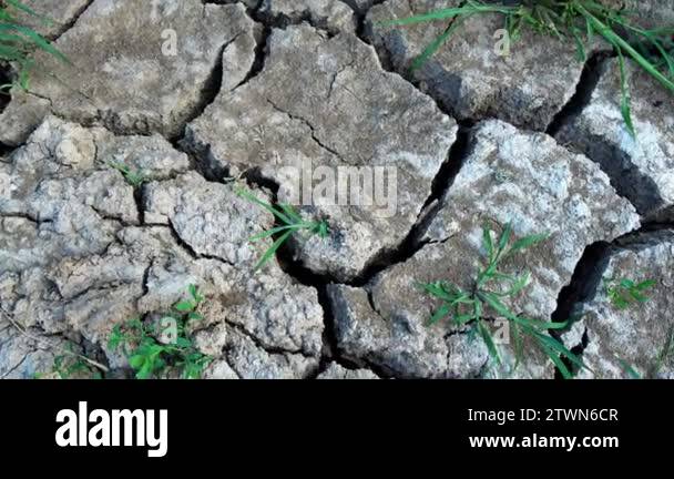 Cracked dried mud wall Stock Videos & Footage - HD and 4K Video Clips ...