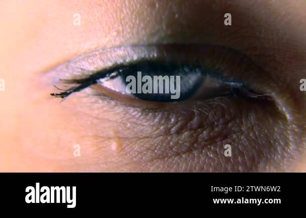 Close-up. Macro Blue Female Human Eye. Pupil Cornea Iris Eyeball ...