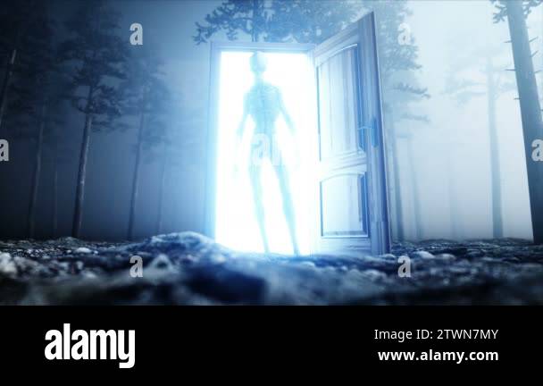 Alien in fog night forest. Light portal door. UFO concept. Realistic 4K ...