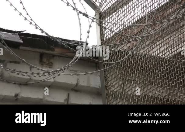 Barbed shield Stock Videos & Footage - HD and 4K Video Clips - Alamy