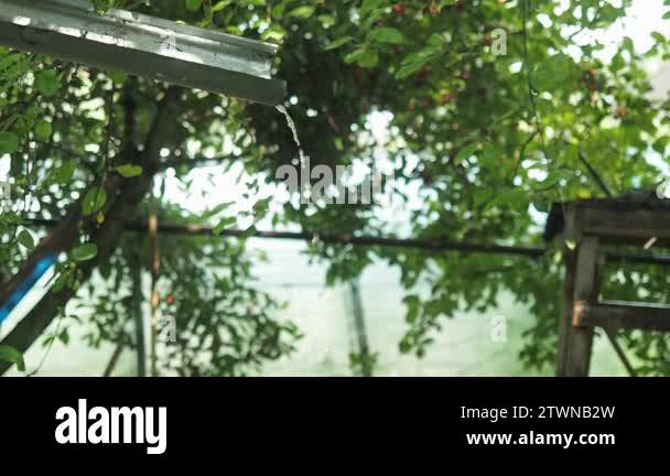 Rain wash Stock Videos & Footage - HD and 4K Video Clips - Alamy