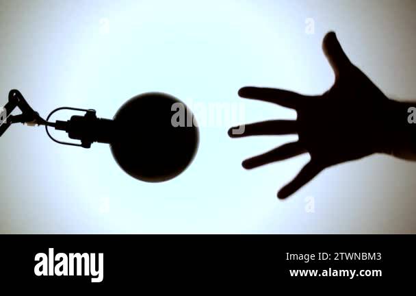 Wolf dog shadow Stock Videos & Footage - HD and 4K Video Clips - Alamy