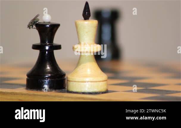 Spider games Stock Videos & Footage - HD and 4K Video Clips - Alamy