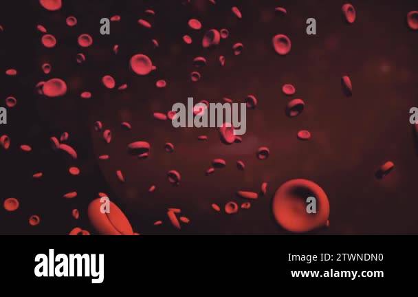 3d animation of red blood cells flowing through artery. Animation of ...