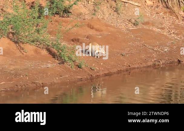Darwin background Stock Videos & Footage - HD and 4K Video Clips - Alamy
