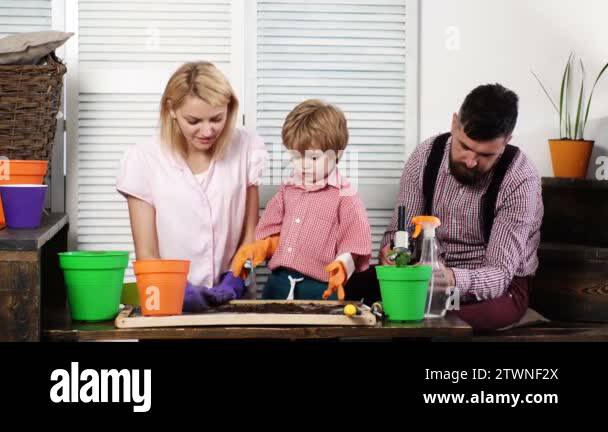 Family sits flowers in a pot. Summer and hobbies, family grows flowers ...
