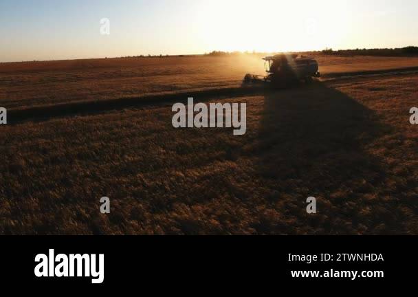 Combine harvester threshing Stock Videos & Footage - HD and 4K Video ...