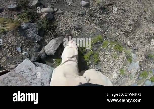 Stabilized camera pointing down to feet of man walking in the wild ...