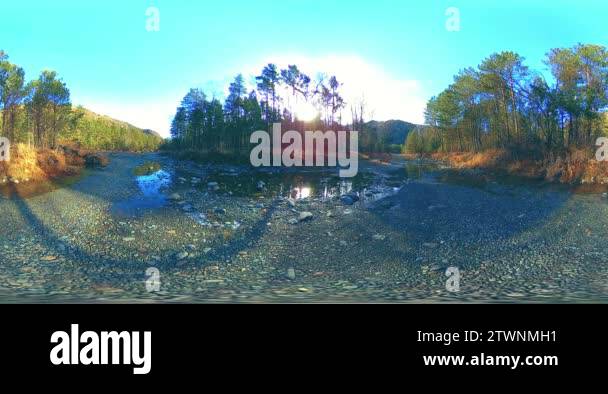 360 VR virtual reality of a wild mountains, pine forest and river flows ...