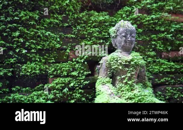 Calm statue Stock Videos & Footage - HD and 4K Video Clips - Alamy