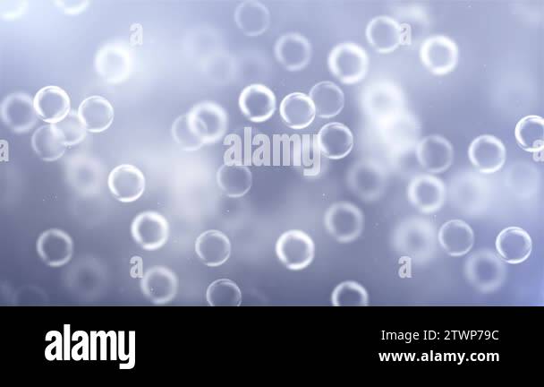 slowly moving bubble White and Gray seamless rising soap bubbles floating and moving up Loop ...