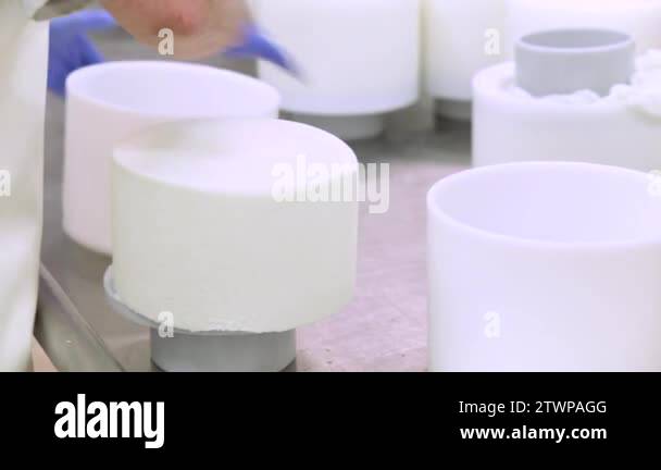 Dairy factory worker, cheese making process, putting cheese curd into ...