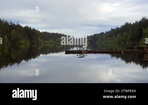 Trees at stevens lake Stock Videos & Footage - HD and 4K Video Clips ...