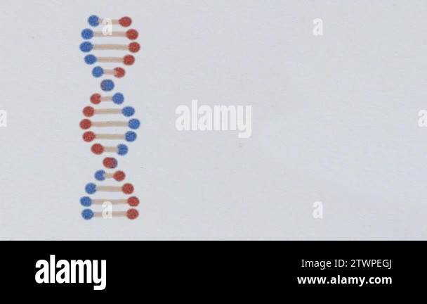 Cartoon dna and Stock Videos & Footage - HD and 4K Video Clips - Alamy
