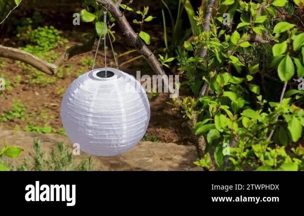 Ball shaped house Stock Videos & Footage - HD and 4K Video Clips - Alamy