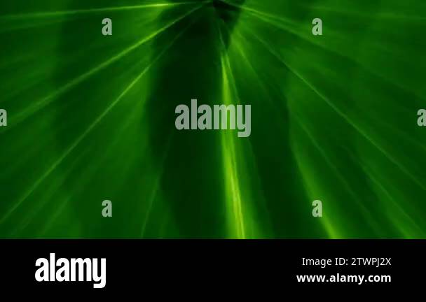 Disco effect Stock Videos & Footage - HD and 4K Video Clips - Alamy