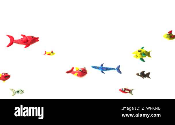 Funny fish cartoons Stock Videos & Footage - HD and 4K Video Clips - Alamy