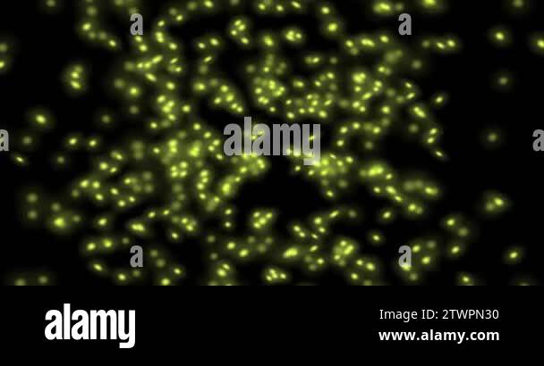 Science food particle Stock Videos & Footage - HD and 4K Video Clips ...