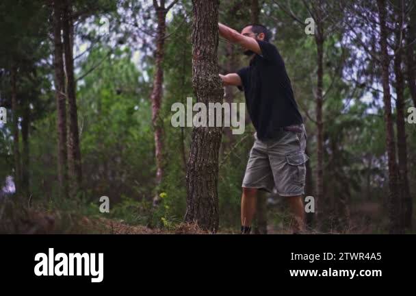 Comic tree trees park Stock Videos & Footage - HD and 4K Video Clips ...