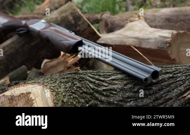 Double rifle Stock Videos & Footage - HD and 4K Video Clips - Alamy
