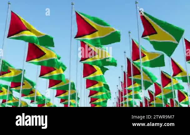 Guyana flags in row Stock Videos & Footage - HD and 4K Video Clips - Alamy