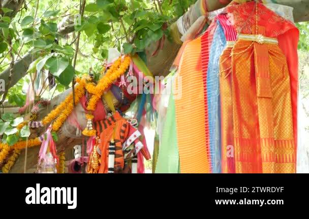 Animist animism religion religious shrine Stock Videos & Footage - HD ...