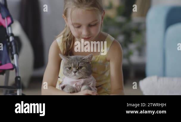 Girl putting clothes on cat Stock Video Footage - Alamy