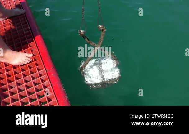 Marine Research: The sampler for sampling bottom animals (bottom ...