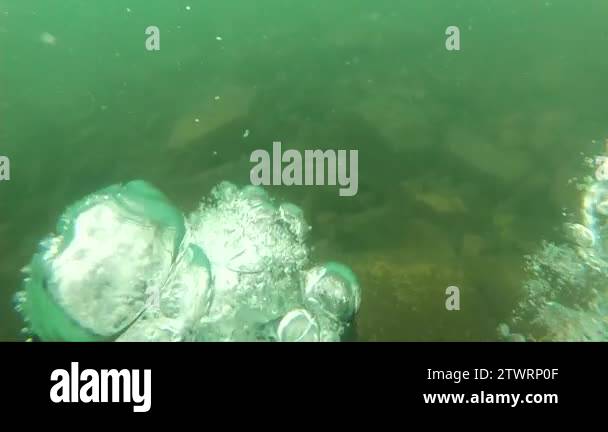 first dive in cold water, diving instructor conducting a shallow water ...