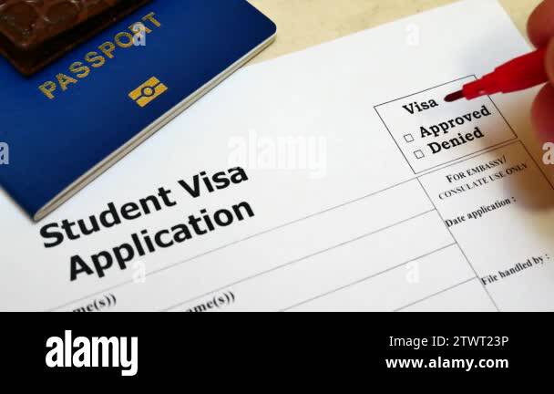 Pen voting approved in checkbox in blank Student Visa application form ...